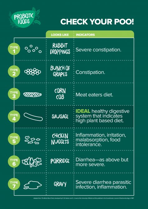 Have you got the guts to check your poo? - Probiotic Foods Wholesale